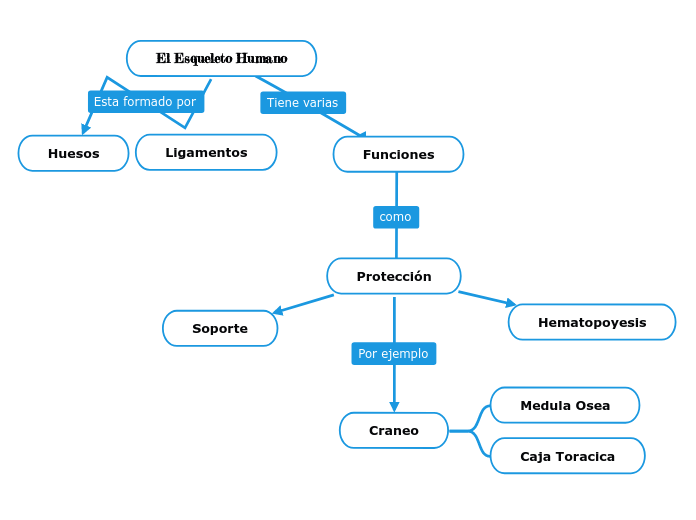 El Esqueleto Humano - Mind Map
